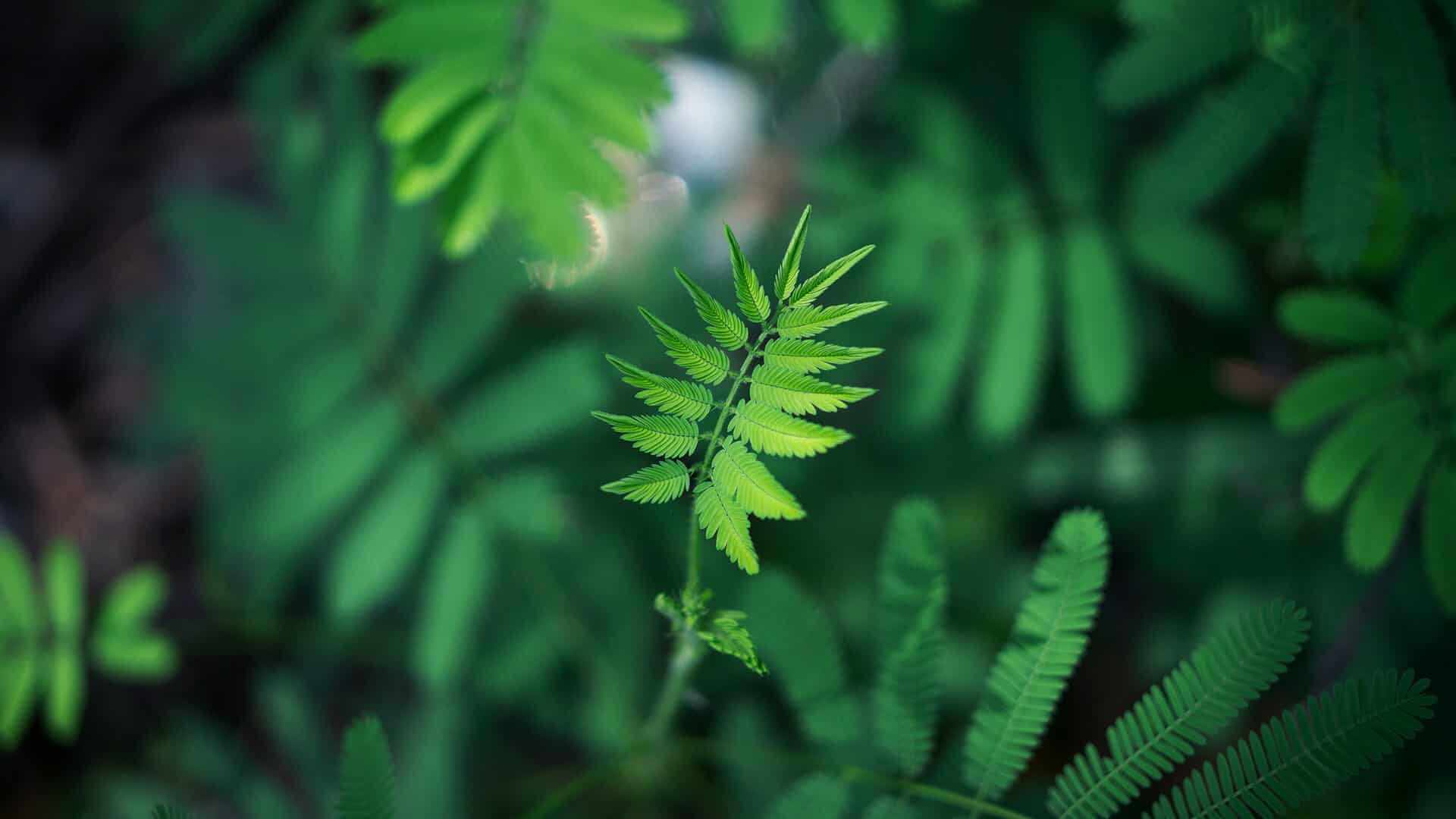 Business Process Automation - FileVision